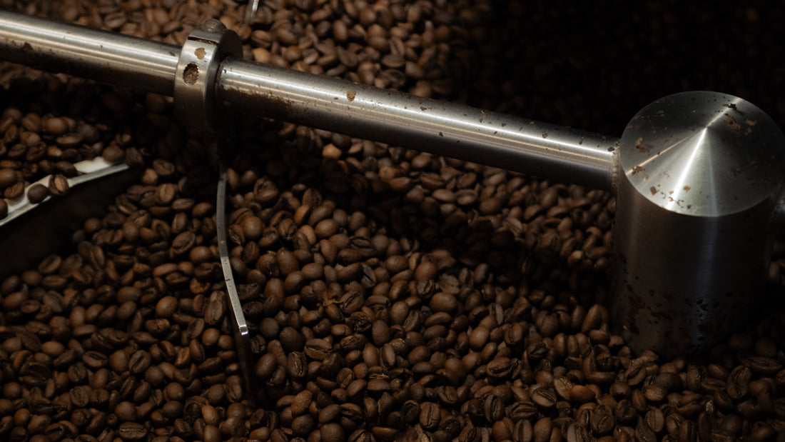 Special Guests Coffee. Exceptional coffee, delivered.